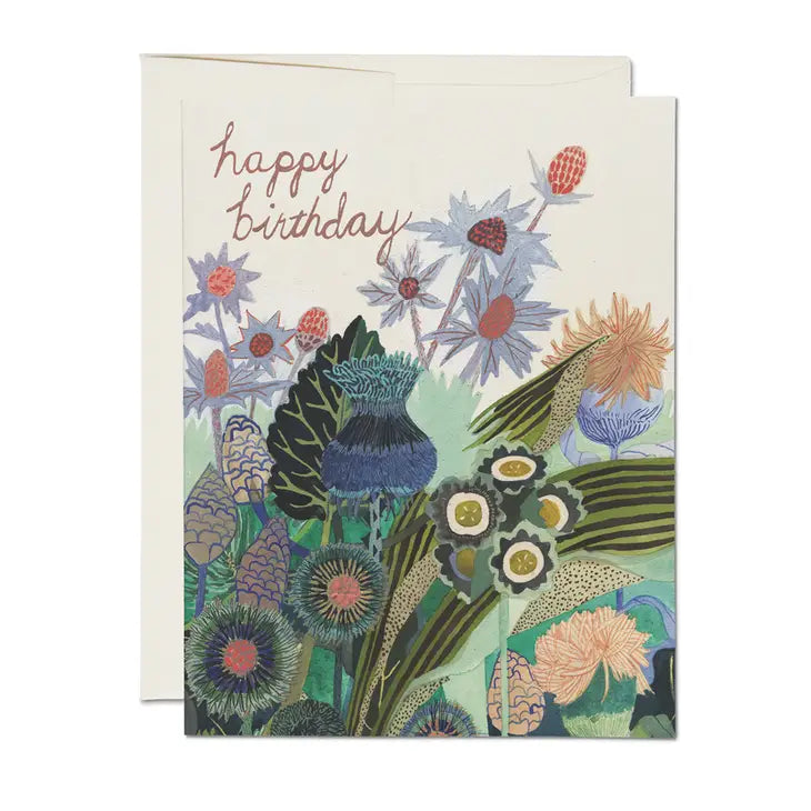 Thistle Birthday Greeting Card – Kansas City Kitty